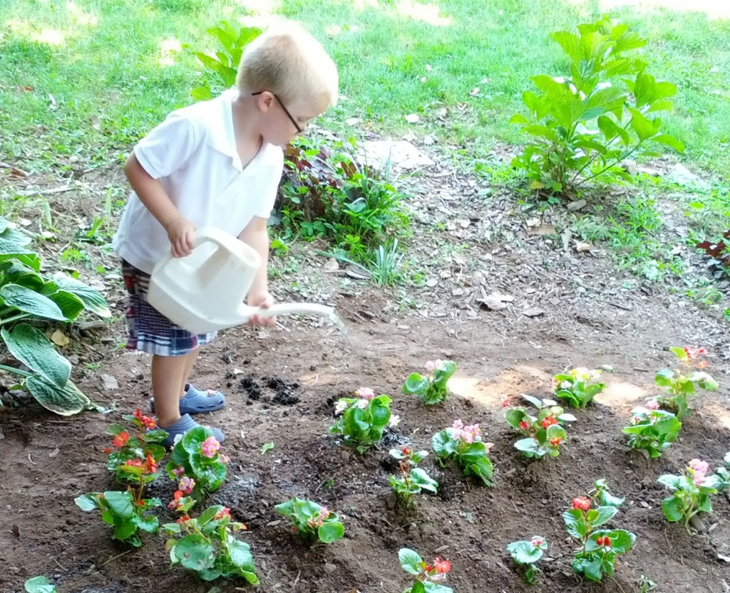Planting Flowers - VFKH Montessori School